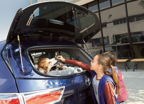 Can You Drive With the Back of an SUV Open? 9 Things To Consider