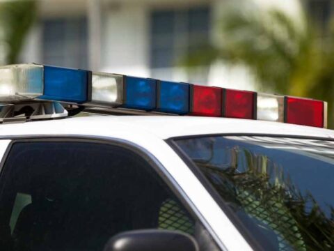 Can Police Cars Have Tinted Windows? (Explained)