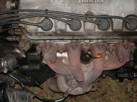 What is the Firing Order on D16Y7 Engine? (Explained)