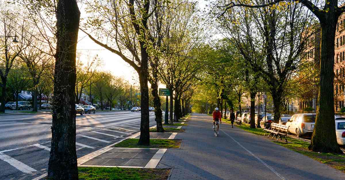 Are Pickup Trucks Allowed On Parkways?