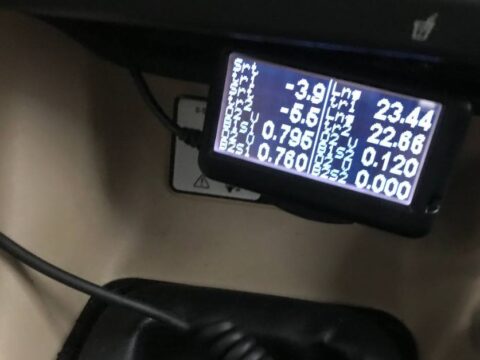 What Is The STFT B1 Normal Range?